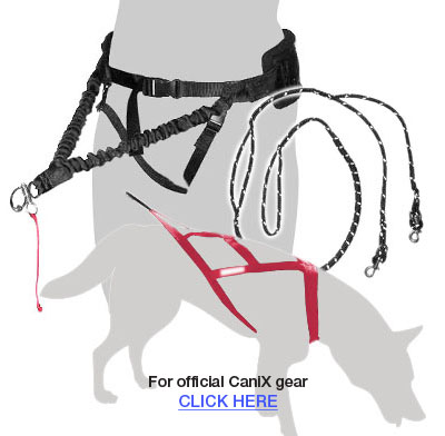 The Fit Dog Articles: Canicross or CaniX