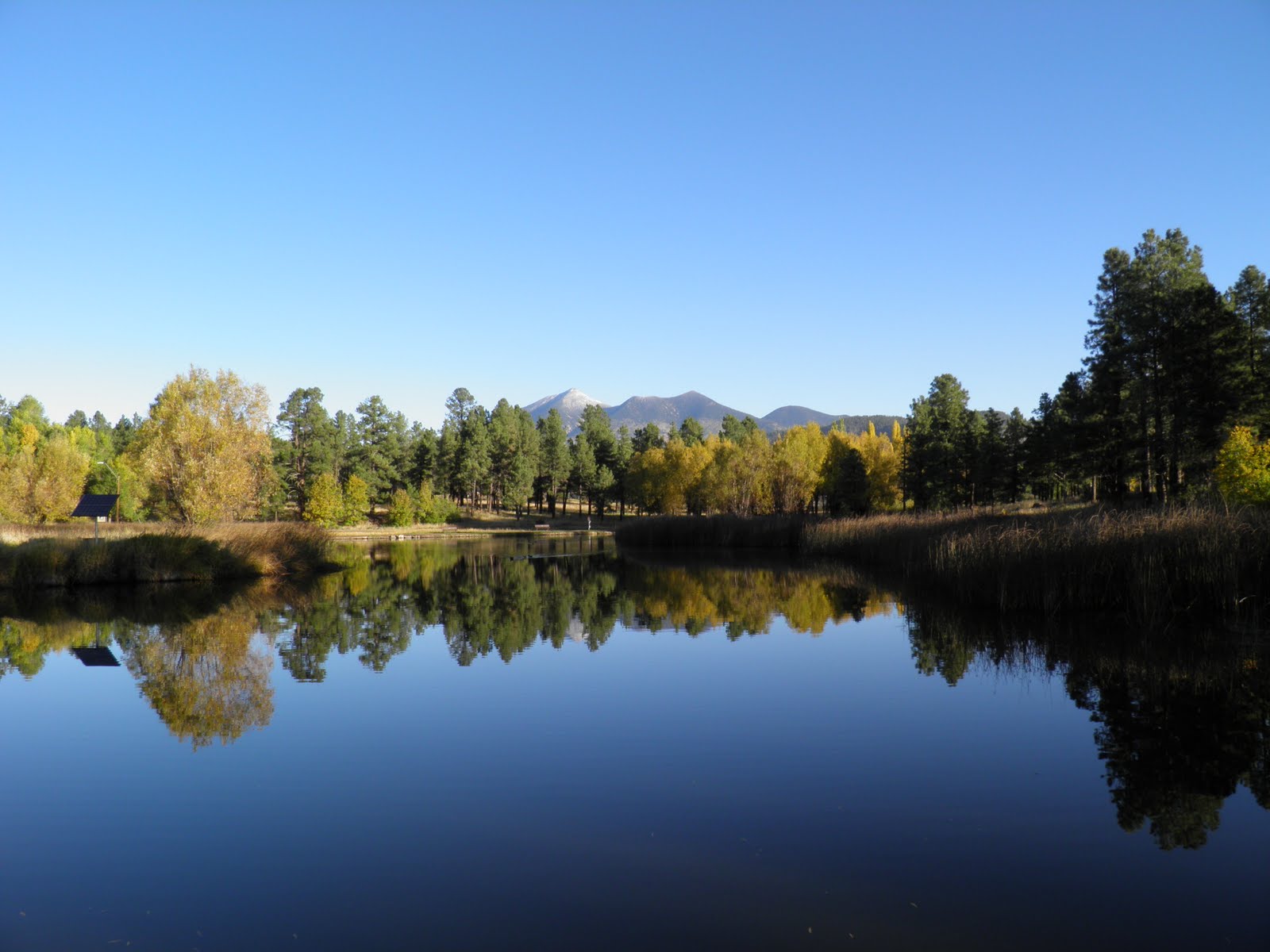 walking flagstaff: crisp morning