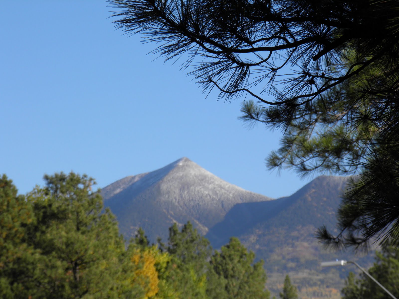 walking flagstaff: crisp morning