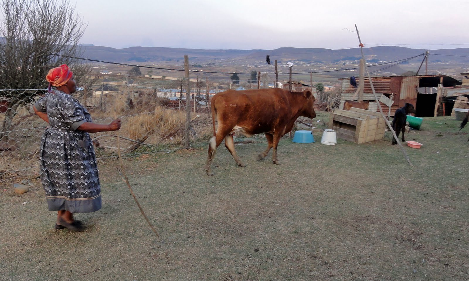 SU Public Health in South Africa: Back From Impendle!