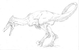 Carnosauria: Austroraptor cabazai