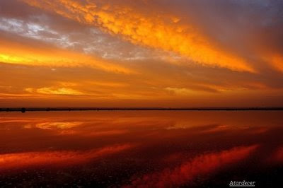 TRAVEL INTO WORLD: World in Colors