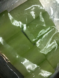 Jonbauti: A Culinary Perception: Compressed Cucumbers