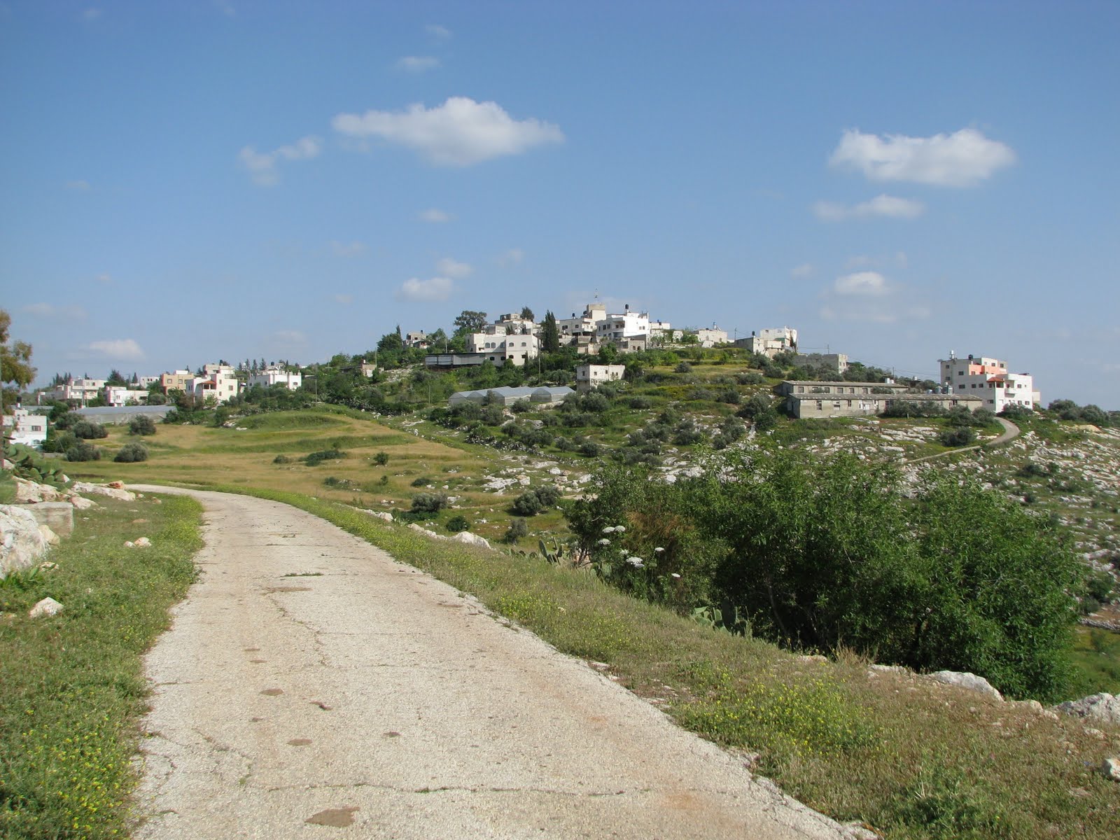 EVERYWHERE: Where the Sidewalk Ends