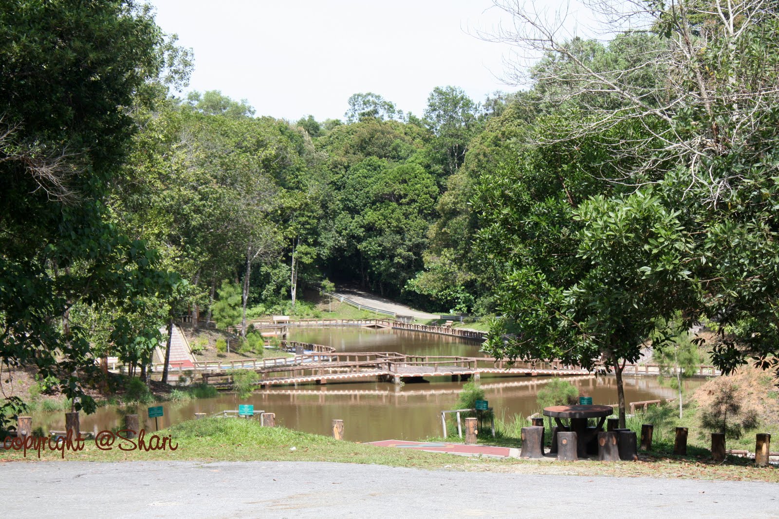Galeri Potret: # 032 Bukit Shahbandar Recreational Park