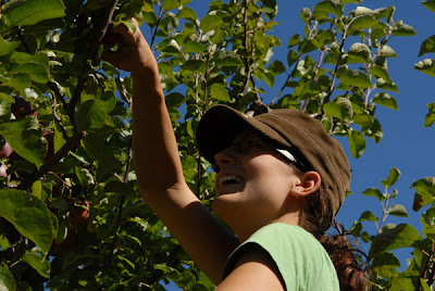 Best of Blush: Blush Lane Organic Orchard