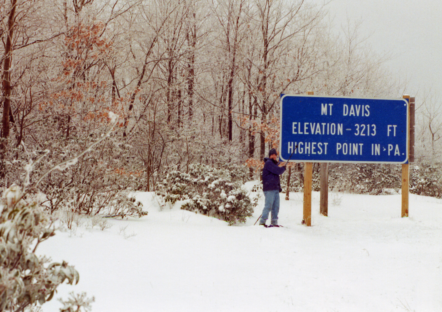 The Adventure Archives of Eric and Noelle: January 2001