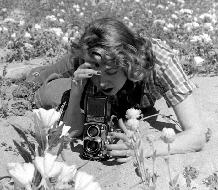 Starlet Showcase: Shutterbug Starlets 3