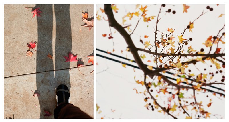 Art Splash: Uta Barth - ...to walk without destination and to see only ...