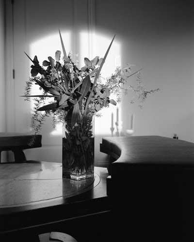 Art Splash: Wild Thing A Summer Exhibition - Roberts and Tilton - Los ...