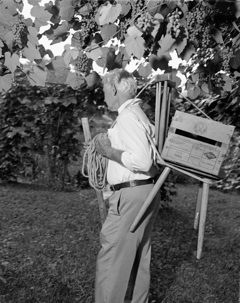 Art Splash: Collier Schorr - Journals and Notebooks - 303 Gallery - New ...