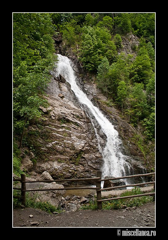 Miscellanea: Valea Oltului: Cascada Lotrişor