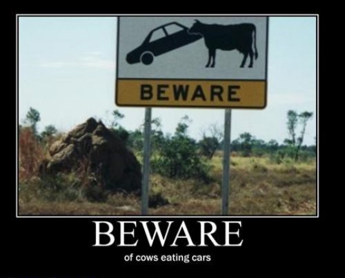 Daily demotivational posters