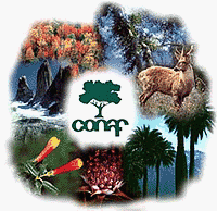 ° Calentamiento Global°: Si no sabes que es CONAF, informate aquí: