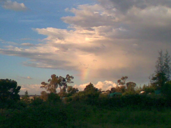 FIELD Applications Engineer