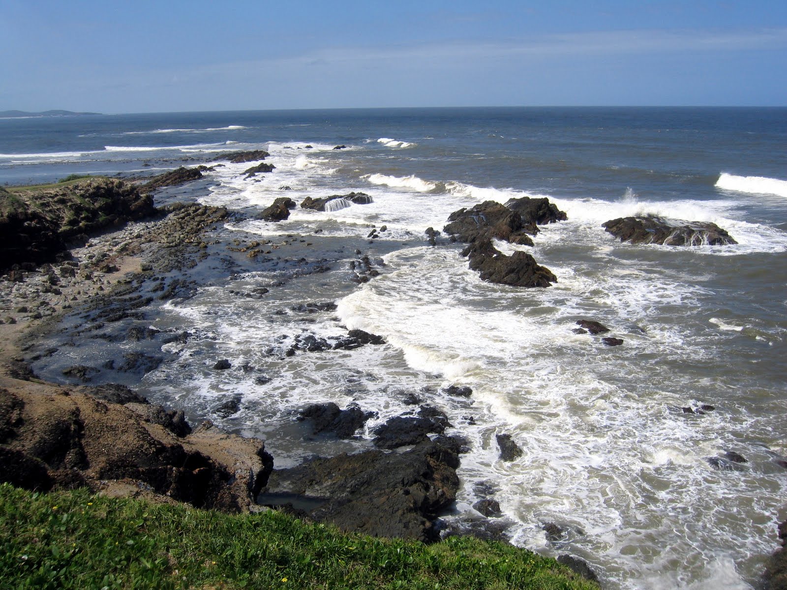 The Wild Reed: Yaegl Country