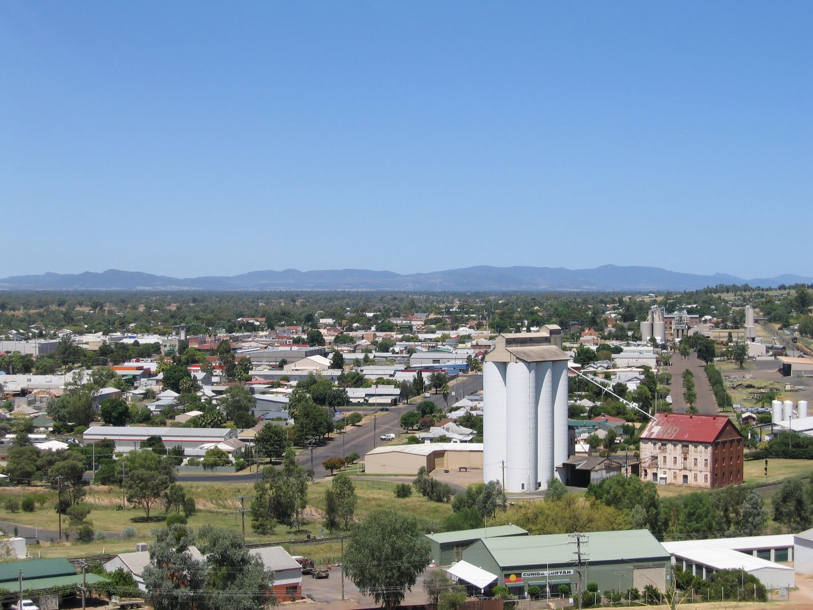 The Wild Reed: Journey to Gunnedah