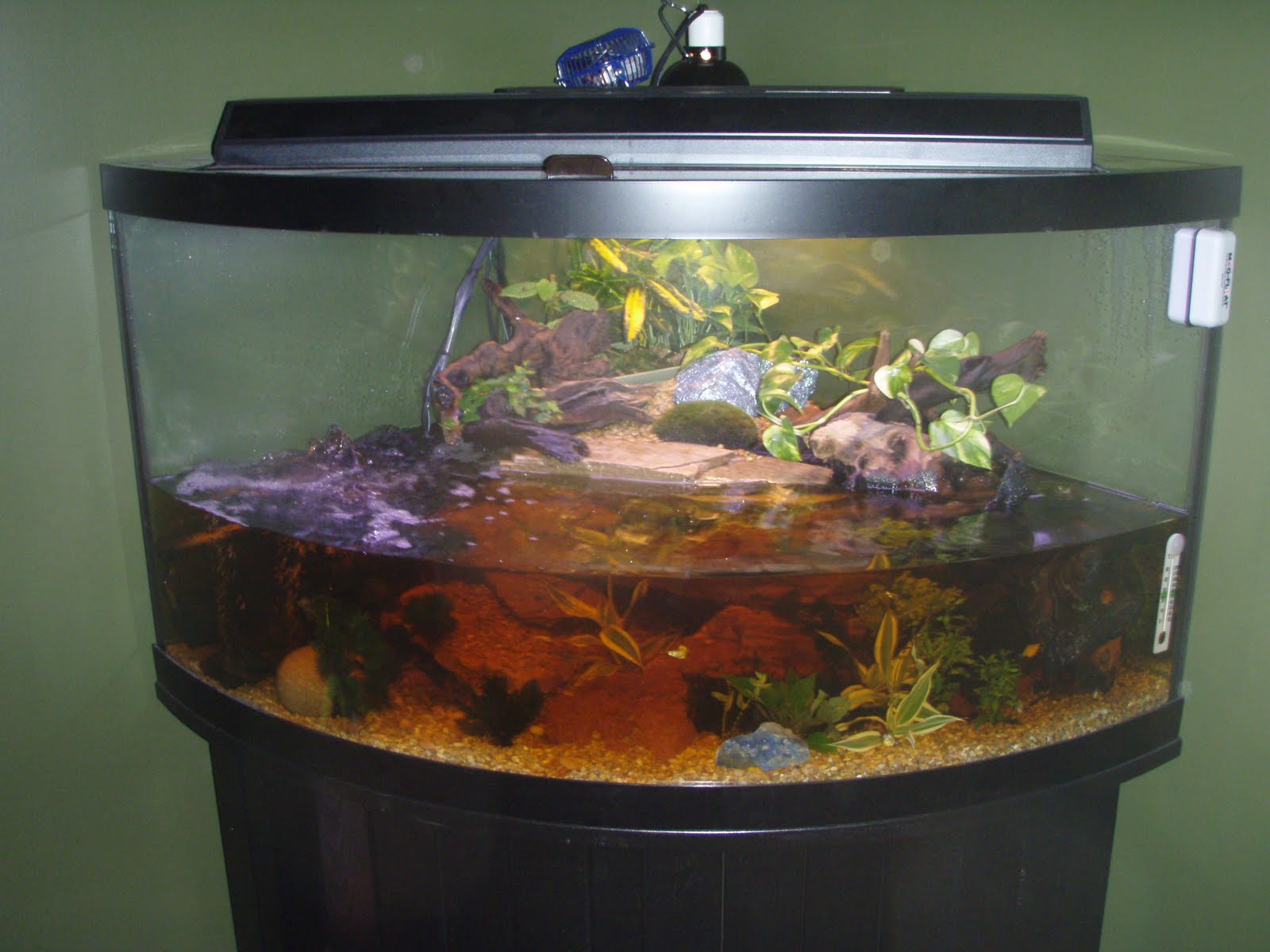 Saint Brian's Chronicles: River Tank Aquarium