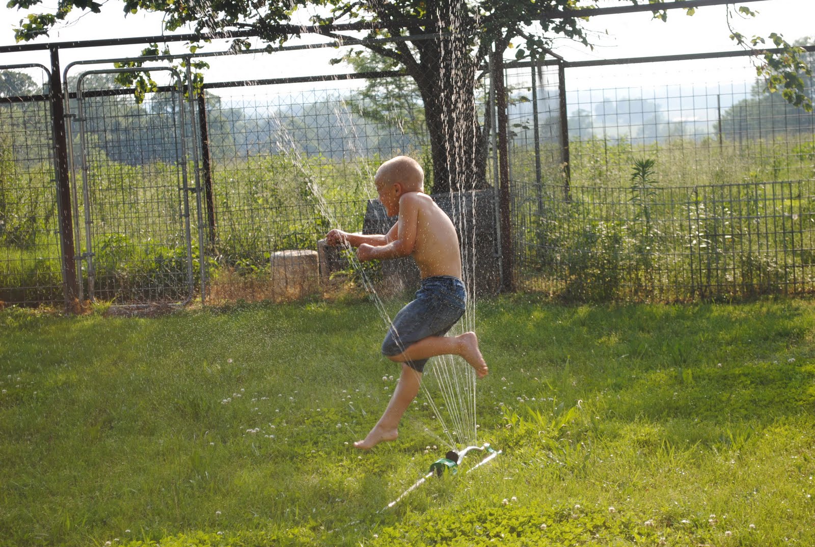 Love Grows Best in Little Houses: The Redneck Water Park!