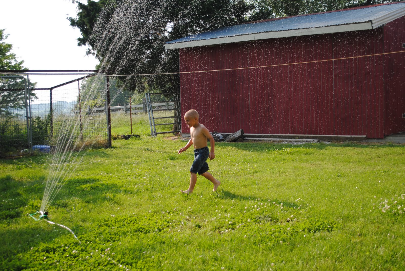 Love Grows Best in Little Houses: The Redneck Water Park!