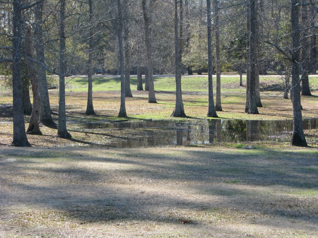 3 Dog Days: The StenniSphere!