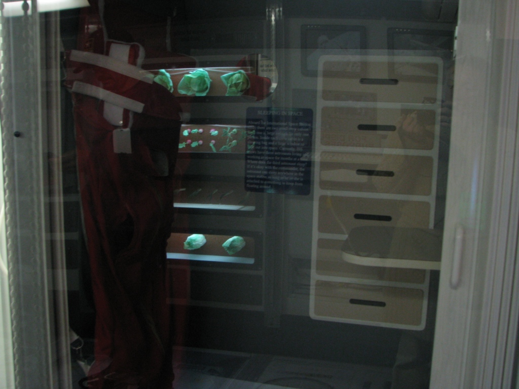 3 Dog Days: The StenniSphere!