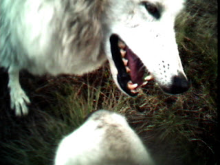 Video Art of Sam Easterson ~ OnTheCusp.org