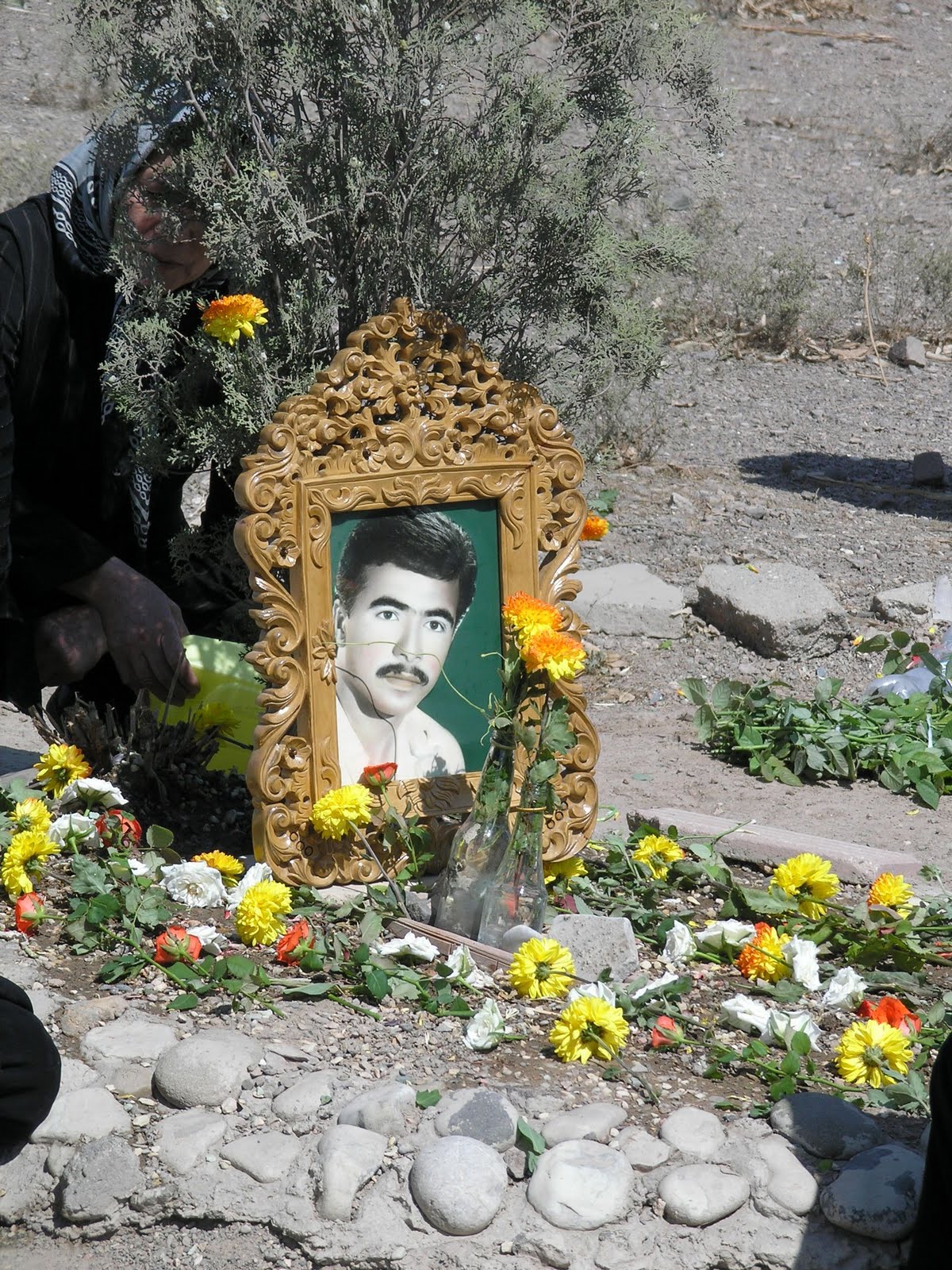 A Better World Is Possible: Khavaran Cemetery (part 2)