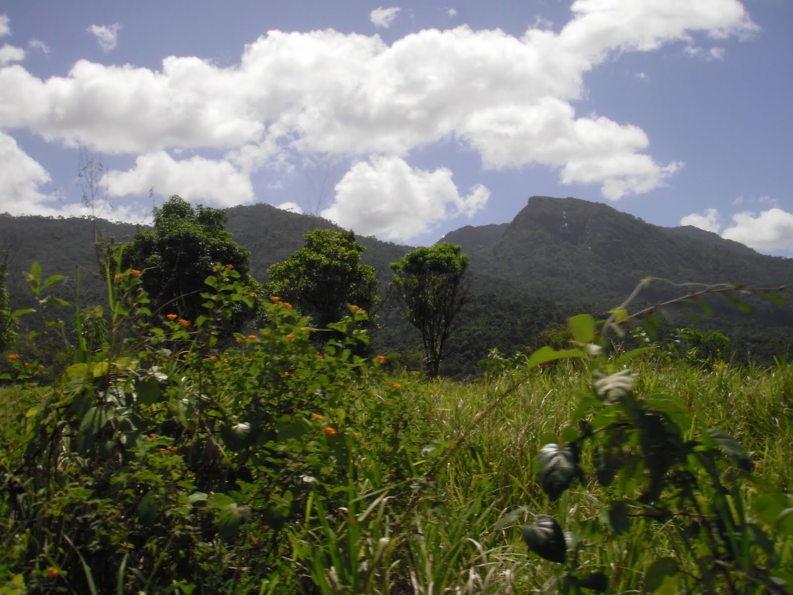 guyanatrip: Tuesday's visit to Moco Moco village and falls