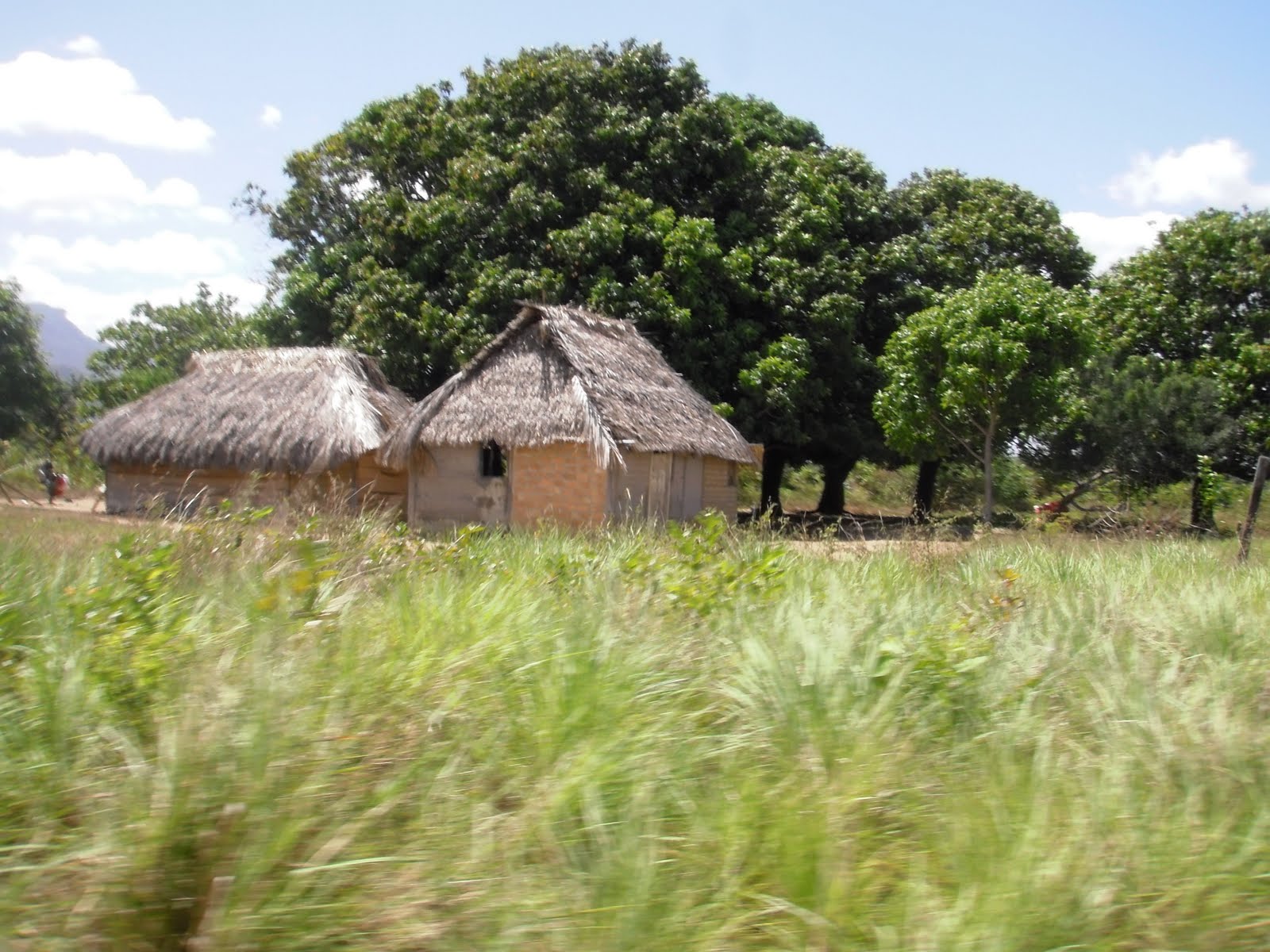 guyanatrip: Tuesday's visit to Moco Moco village and falls