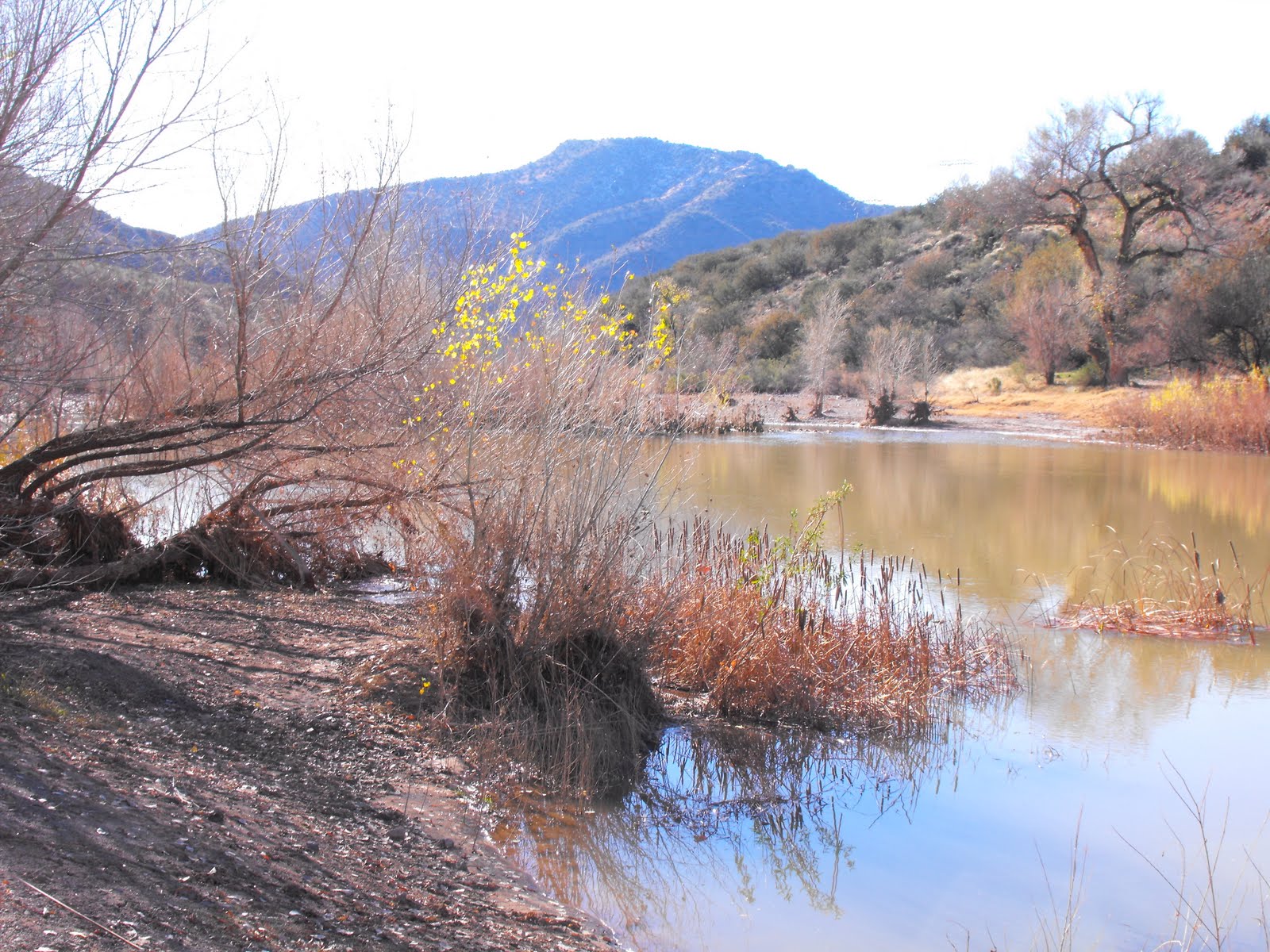 Wanderings through Arizona: Verde Valley