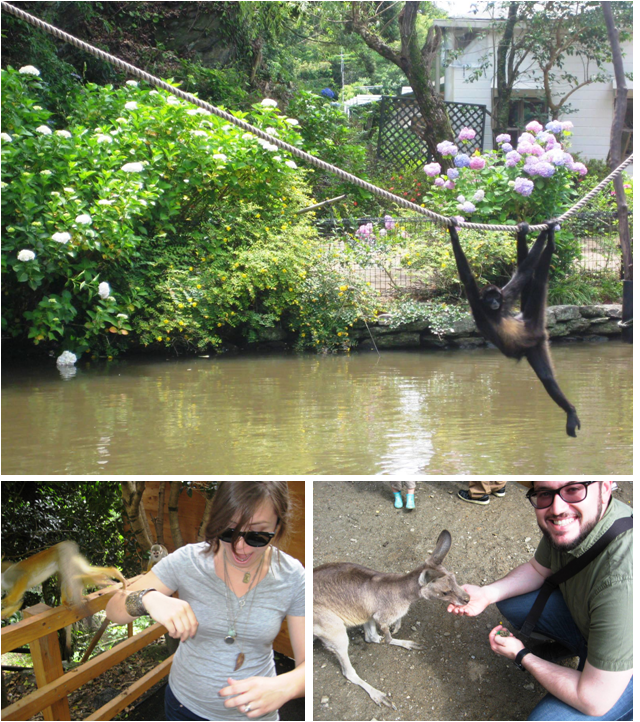 a little place in japan: Sasebo-Shi