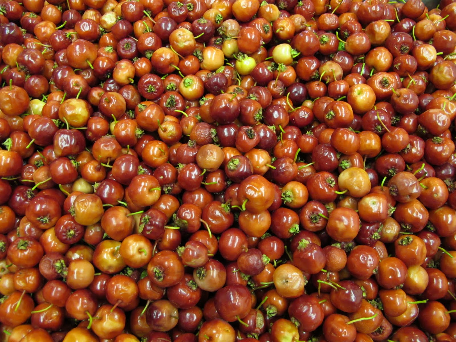 Poppe's Kitchen: PICTURES