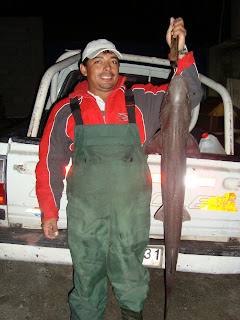 CAZADORES TODO TERRENO: A la pesca del toyo