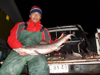 CAZADORES TODO TERRENO: A la pesca del toyo