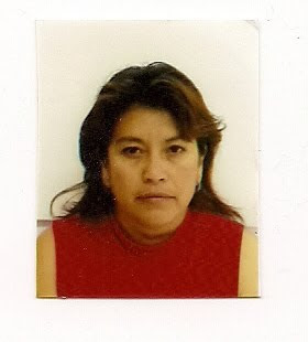 DIDACTICA INFORMATICA