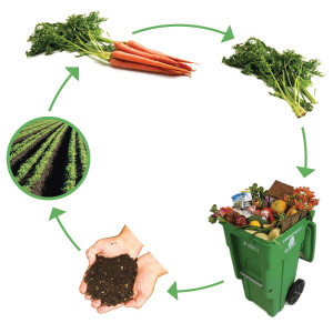 COMPOST: ¿Qué es el Compost?