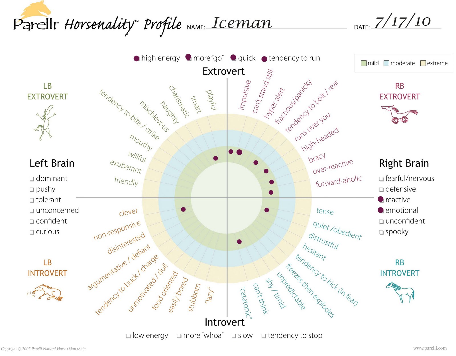 Iceman in Advanced Animal Handling and Behavior: Horsenality