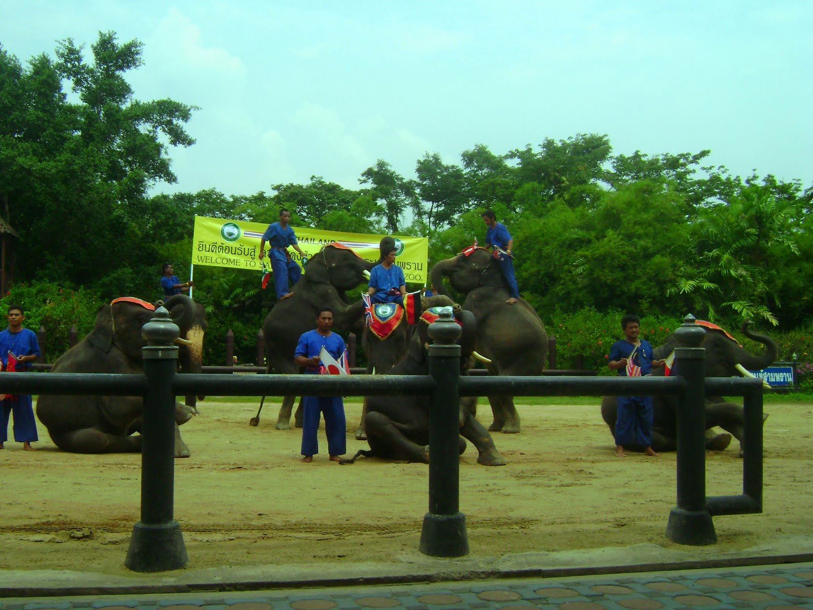 Thailand Elephant Show - The Filipino Rambler
