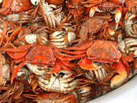 Flavors of Brazil: Saving the Aratu (Part 1) - A Slow Food Brazil Presidium