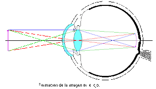 hectorcolor: Proceso visual y sus caracteristicas.
