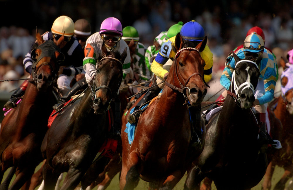 The Coltons Point Times: Kentucky Derby 2010 - The Run for the Roses