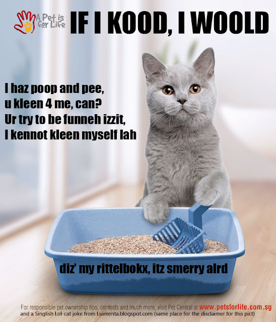 William's Comic: Singlish LOLcat