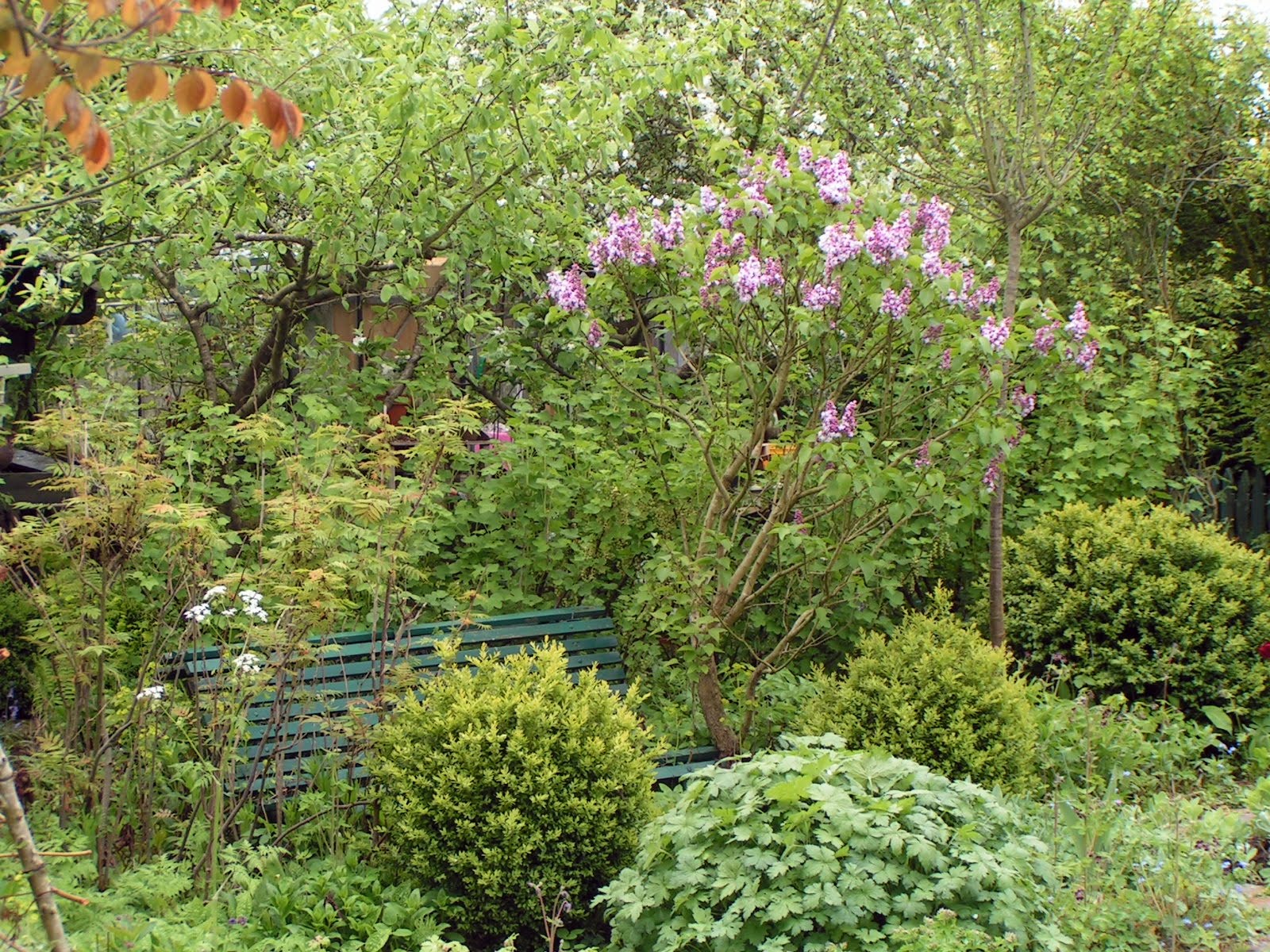 villa extra: seringen