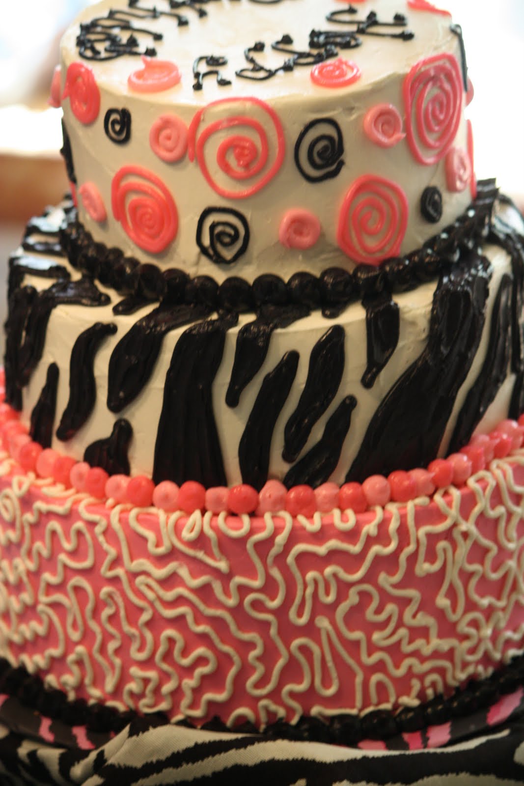 The Blackberry Vine: Hot Pink Zebra Cake