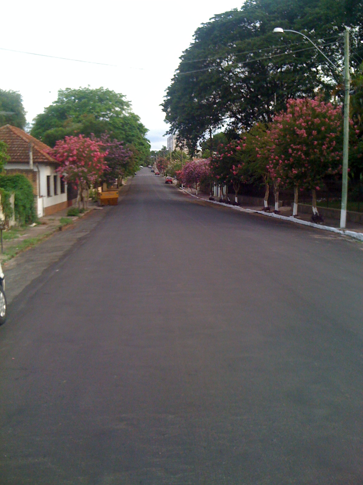 Blue Ocean Entrepeneurship: Montenegro - Rio Grande do Sul - Brazil