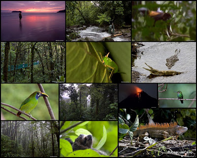 lúminaVitae: Costa Rica Collage