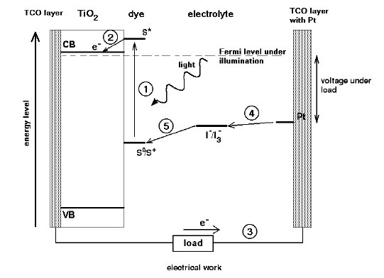Dye Sensitized Solar Cell (DSSC) ~ Material Science