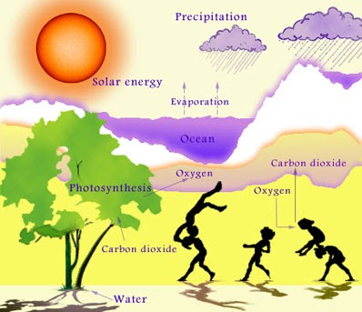 Immanuel College Year 9 Science Discovering Ecosystems: Ecosystem Earth