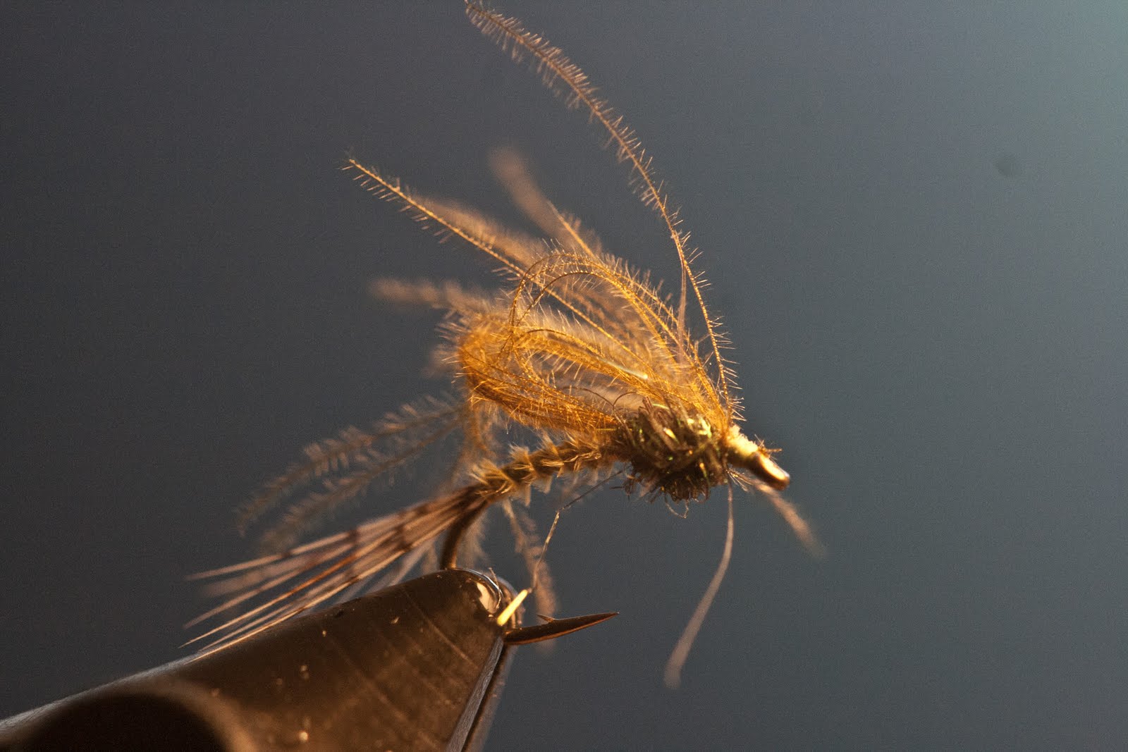 DANCES WITH TROUT: CDC Loop Wing Emerger